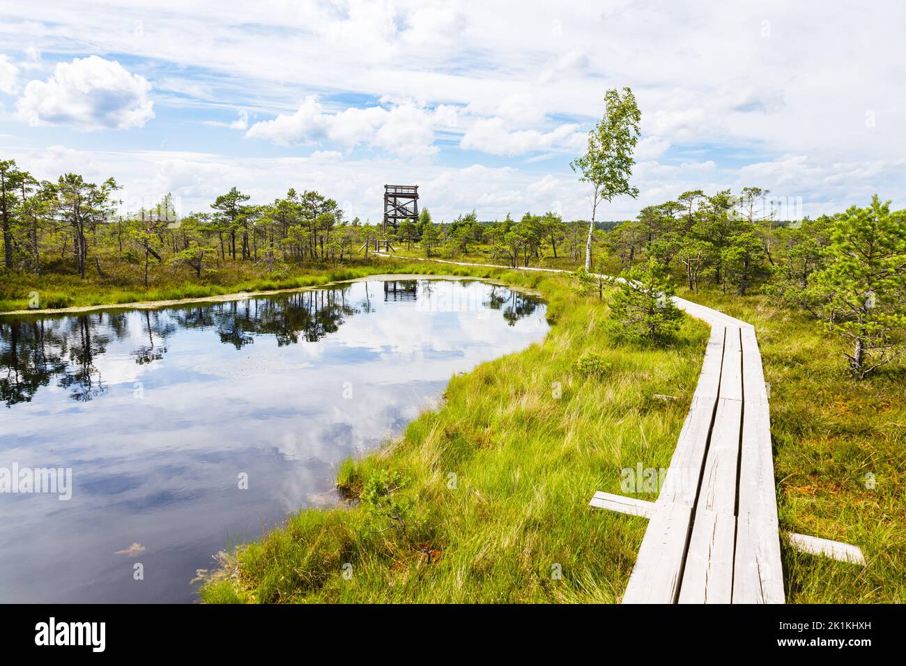 Great Kemeri Bog swamp at the Kemeri National Park in Latvia Stock ...