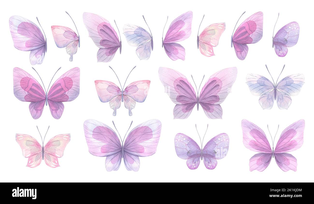 A large set of pink, purple, delicate butterflies are on the side and ...