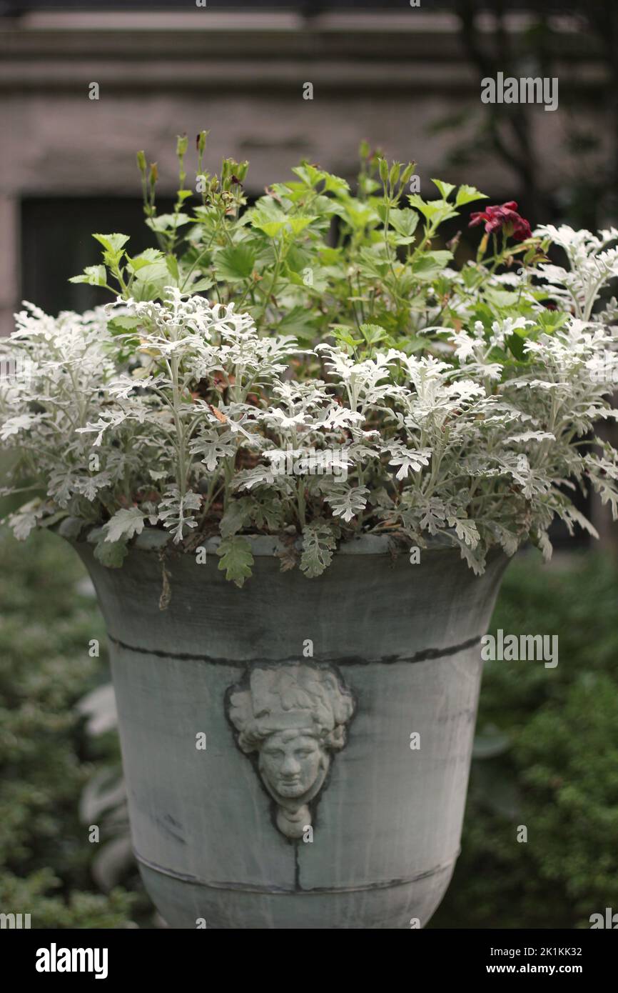A huge flower pot overflowing with summer plants Stock Photo - Alamy