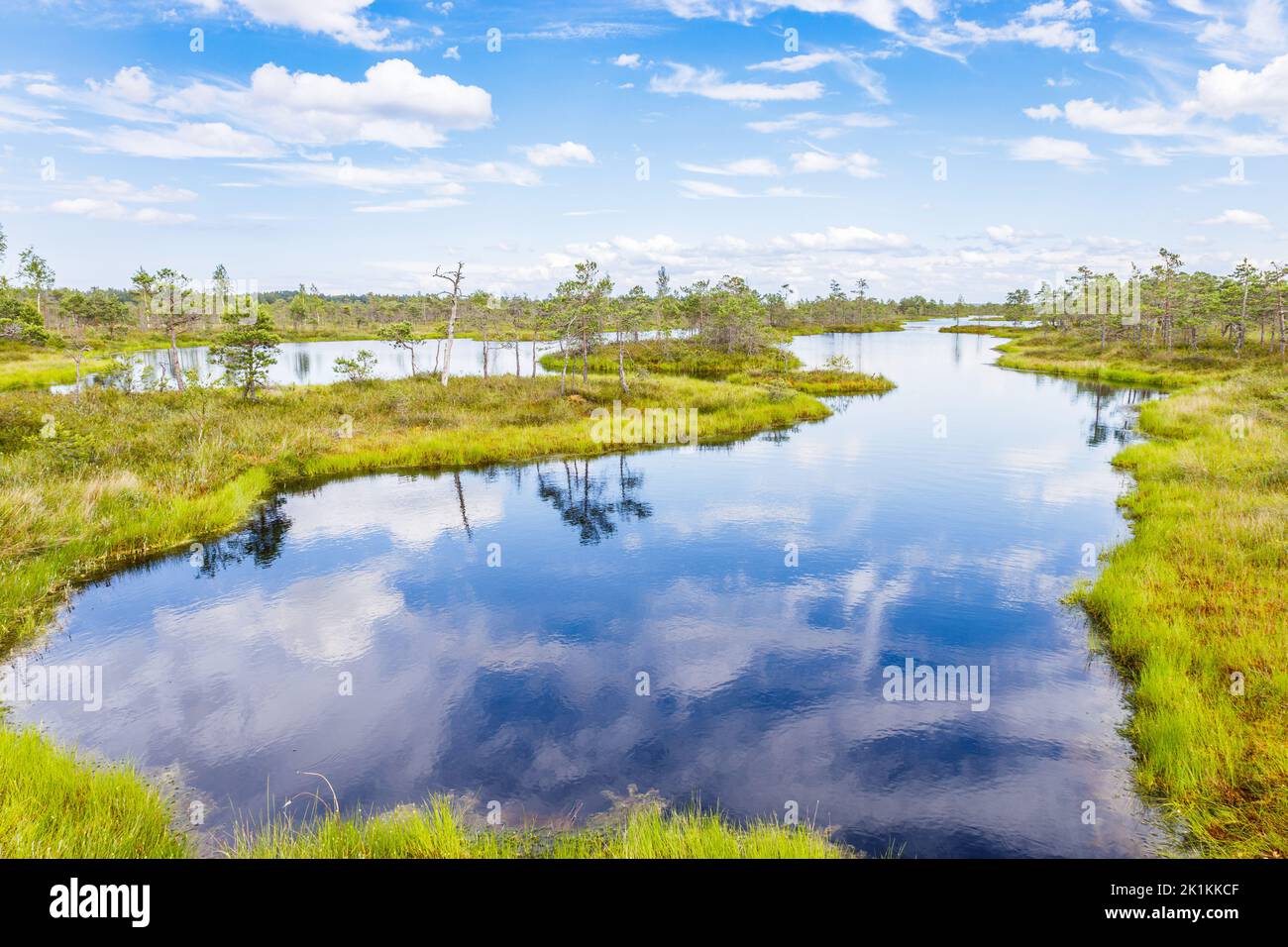 Great Kemeri Bog swamp at the Kemeri National Park in Latvia Stock ...