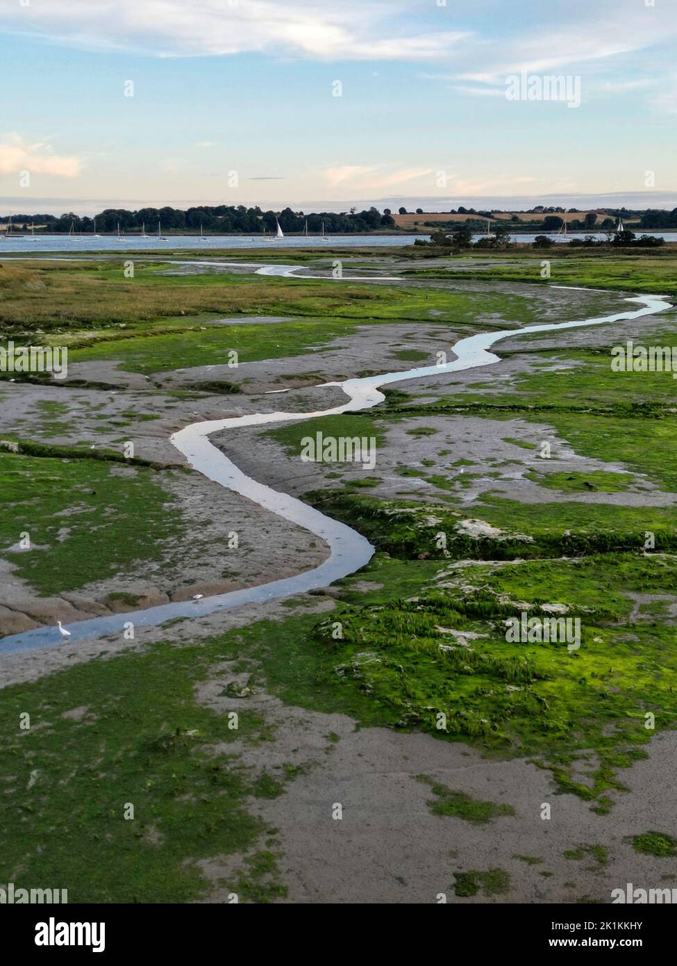 A vertical shot of the nature reserve at Levington in Suffolk Stock ...