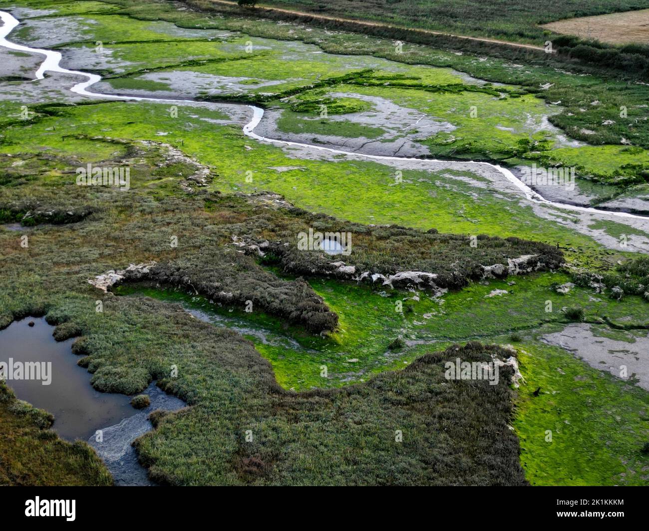 Beautiful scenery of the Levington lagoon nature reserve at low tide ...