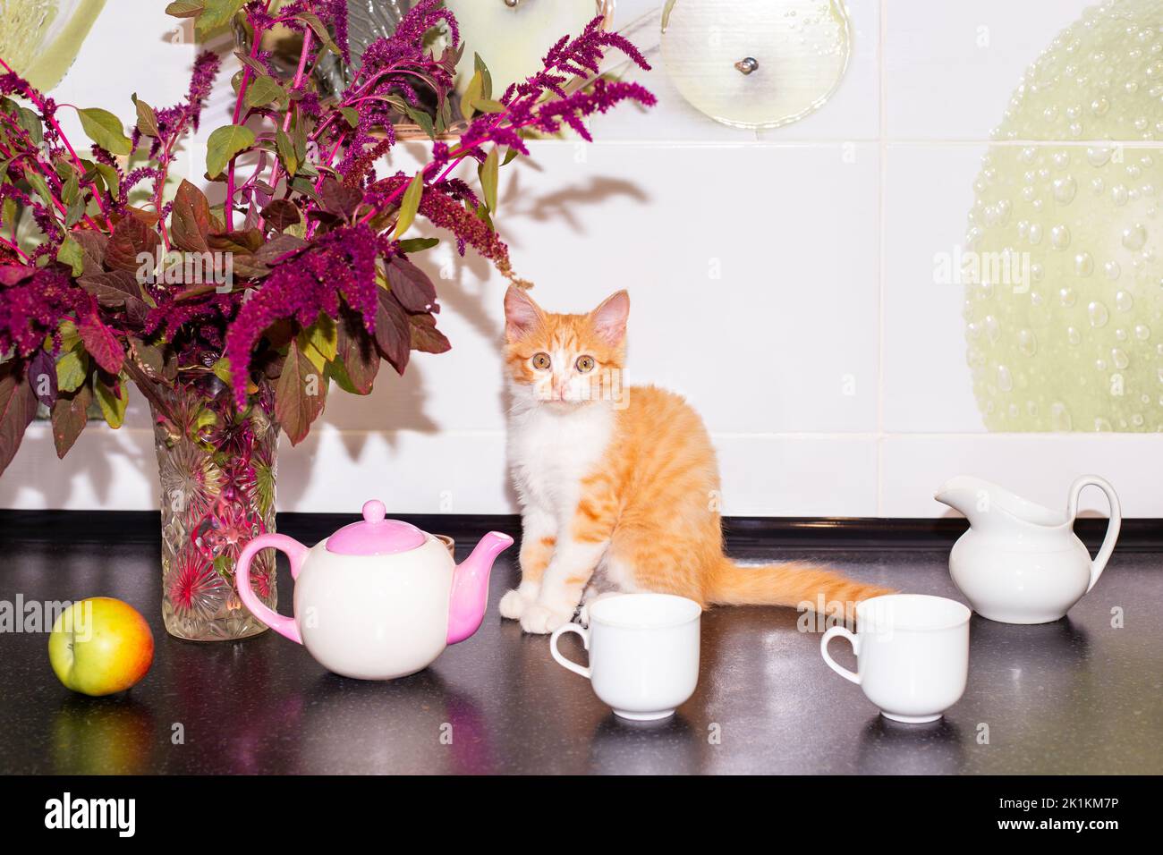 A ginger kitten sits on a kitchen worktop, next to a vase of flowers ...