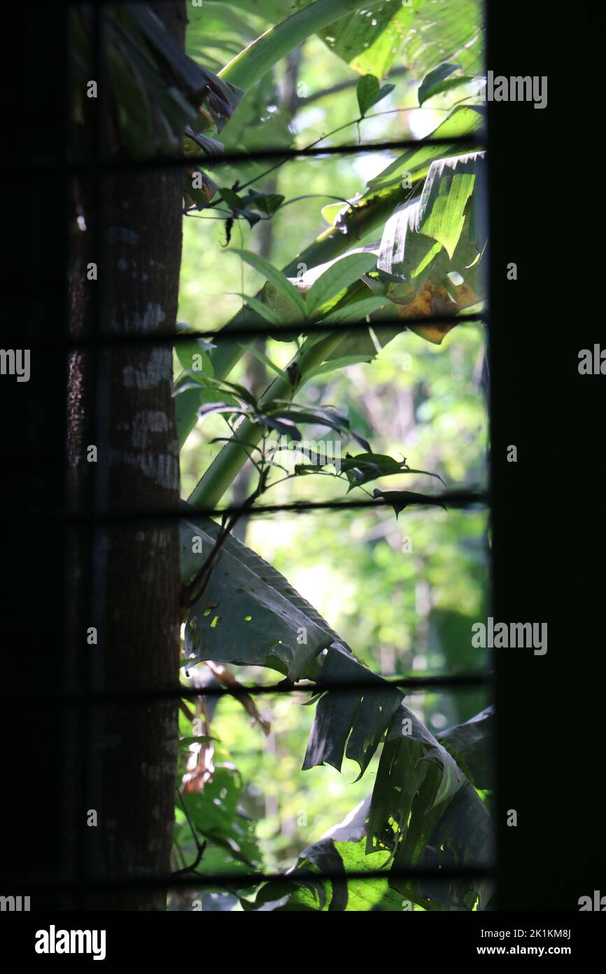 Morning view through window hi-res stock photography and images - Alamy