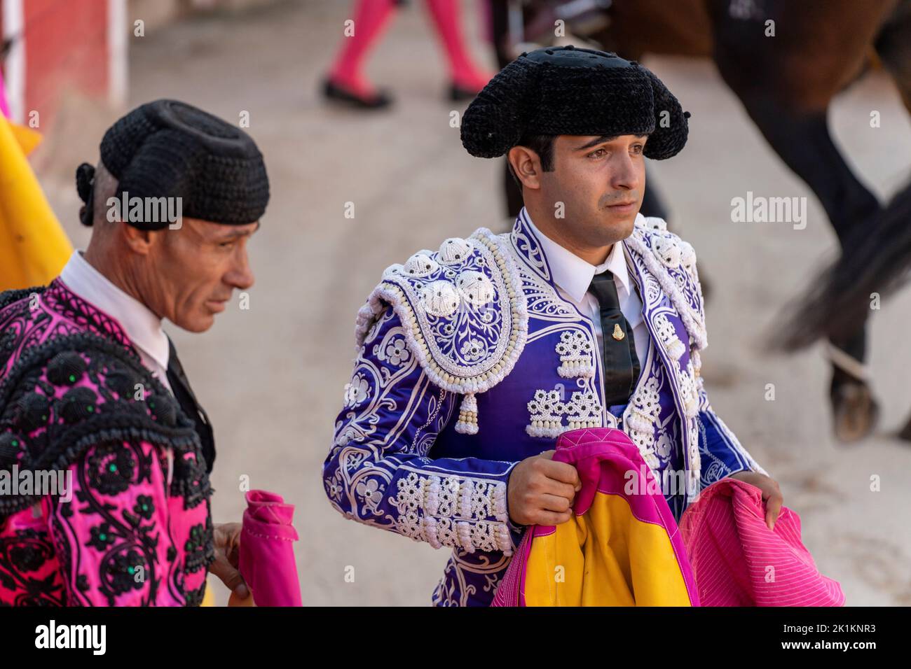 bullfighter capping a steer, heifer bullfight, Inca, Majorca, Balearic ...