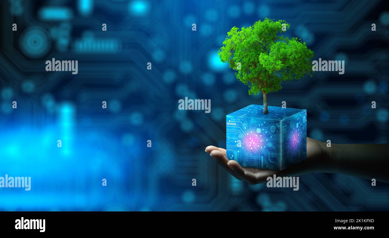 Man hand holding Tree on digital cube with technological convergence ...