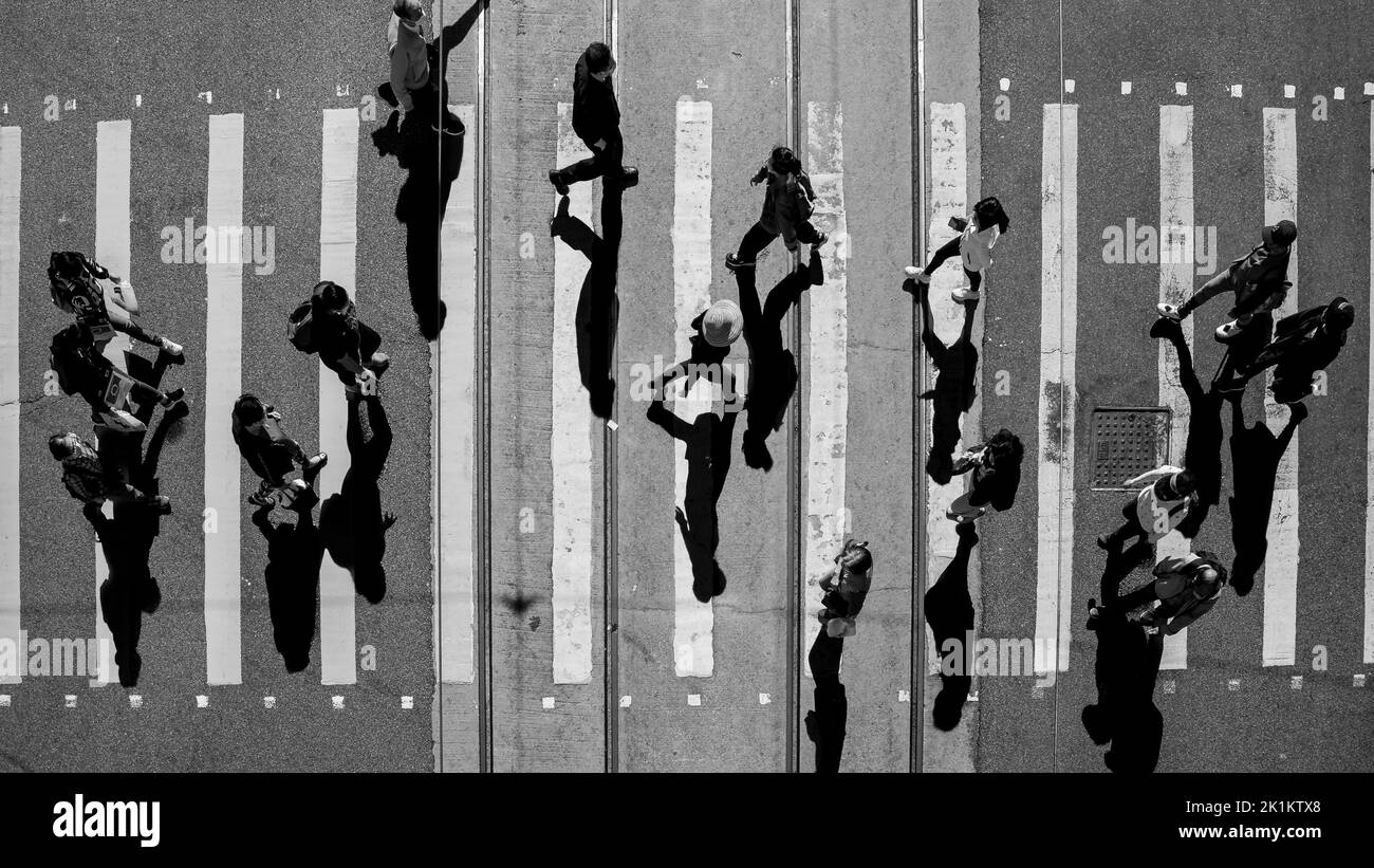 A top view greyscale shot of people crossing the street Stock Photo - Alamy