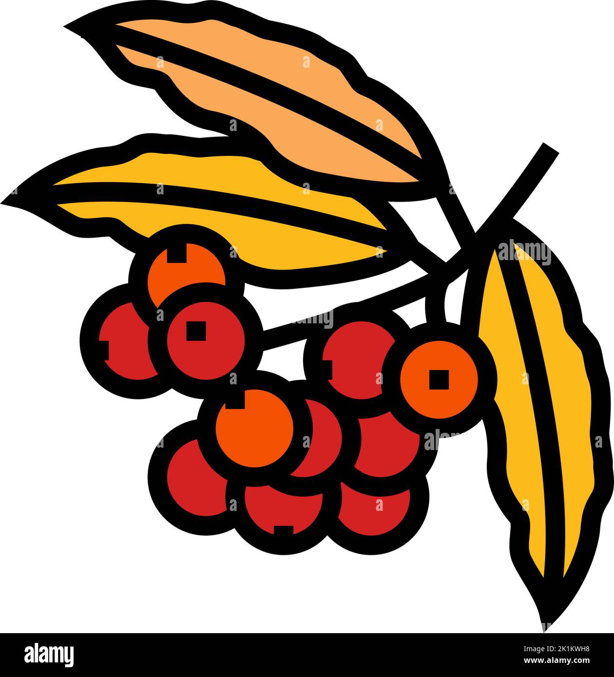 Asian rowan Stock Vector Images - Alamy