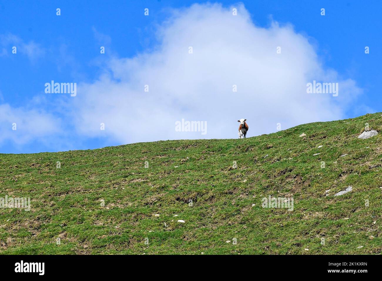 Baishan. 19th Sep, 2022. Photo taken on Sept. 19, 2022 shows the autumn ...