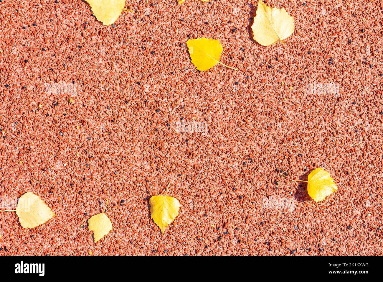 Fallen foliage over uneven rough red textured coating, abstract autumn ...