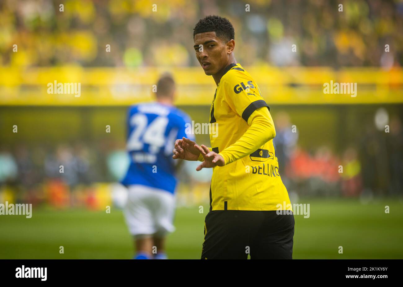 Jude Bellingham (BVB) Borussia Dortmund - FC Schalke 04 17.09.2022 ...