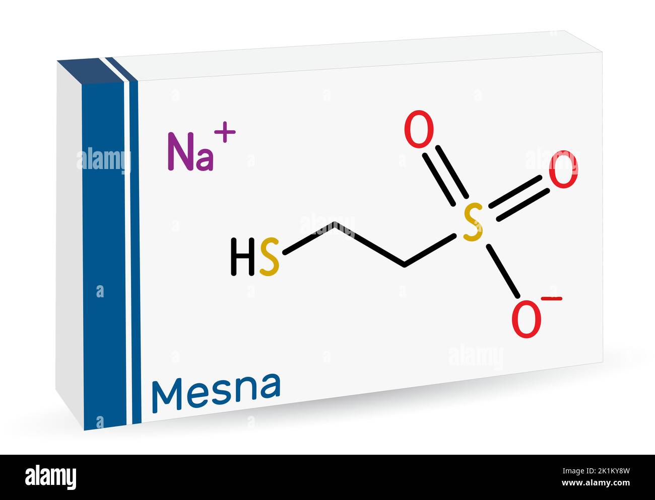 Anticancer vector vectors hi-res stock photography and images - Alamy