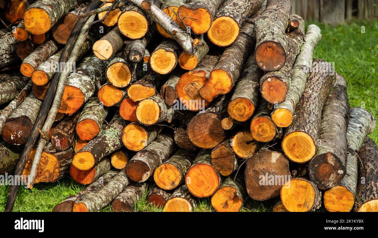 Pile of timber, felled trees. Stacked in a pile Stock Photo - Alamy