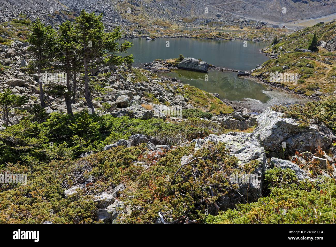 Robert shore hi-res stock photography and images - Alamy