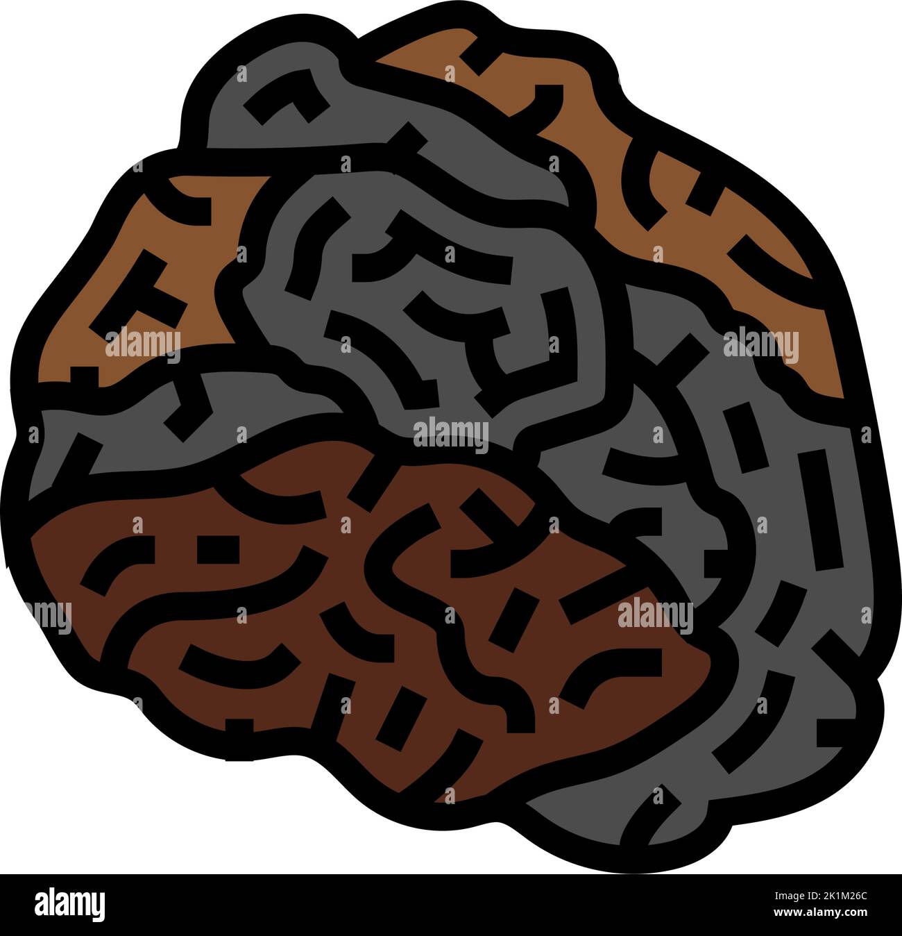 Chaga mushroom Stock Vector Images - Alamy