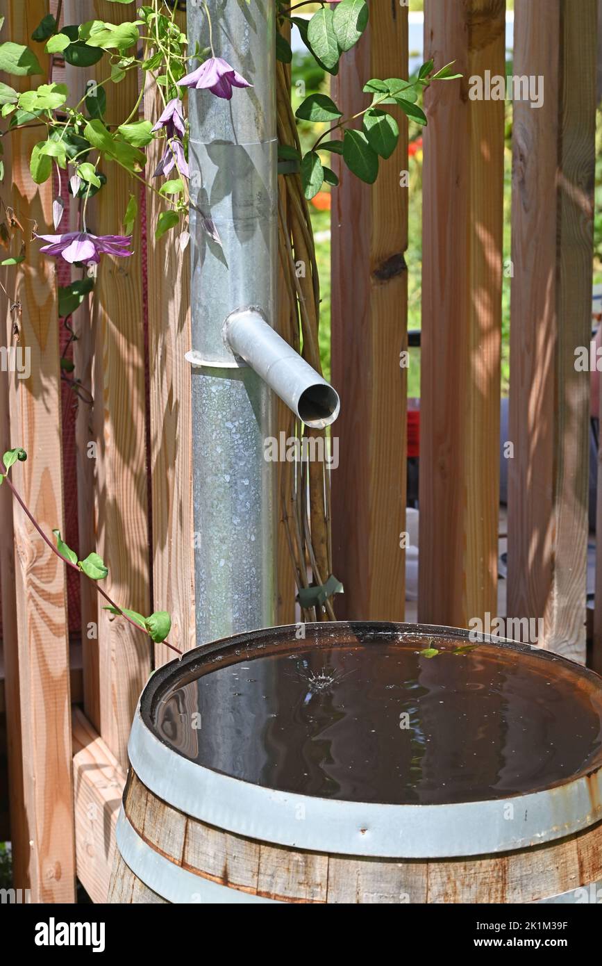 Water barrel in the garden hi-res stock photography and images - Alamy