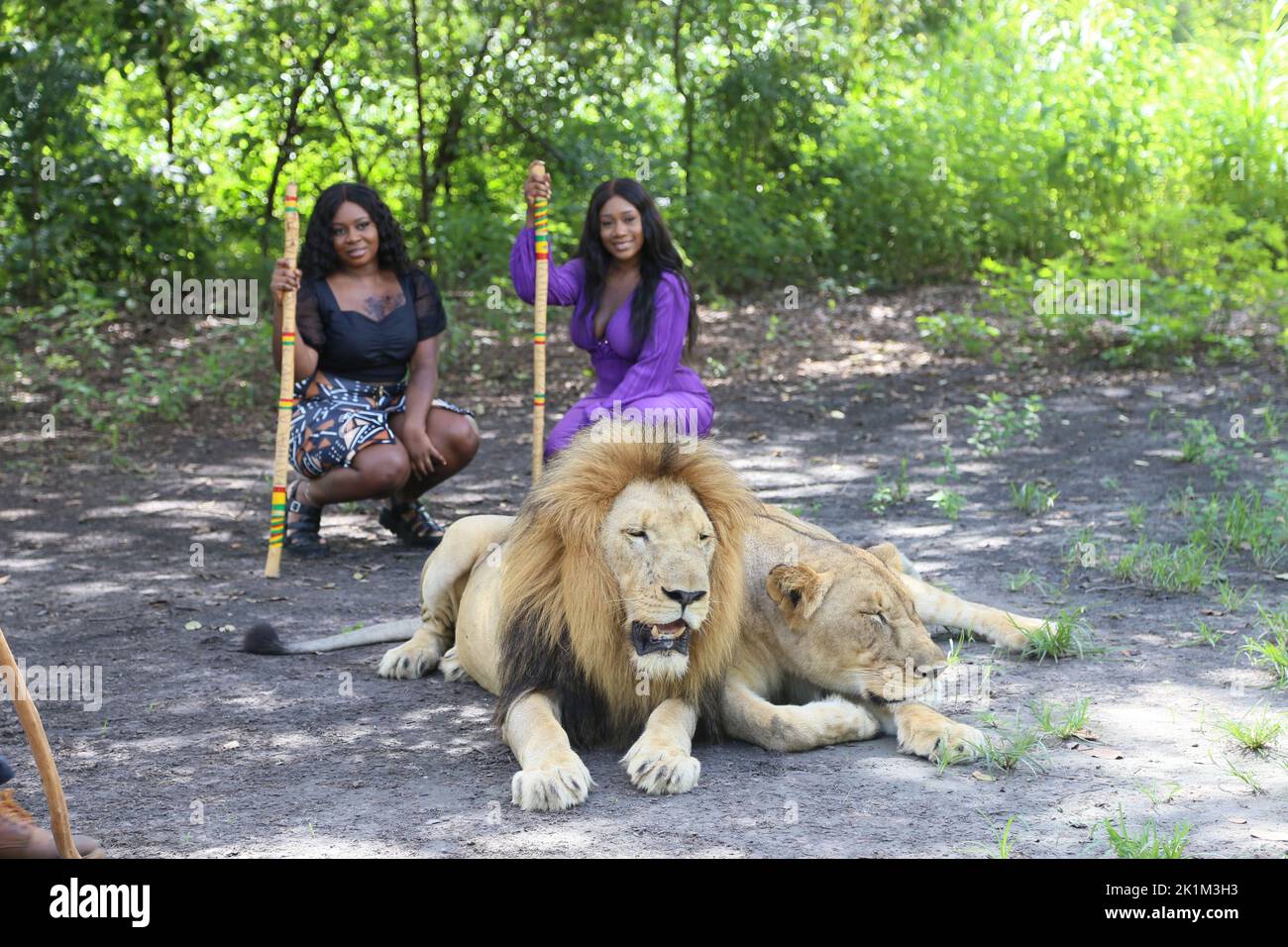 Dakar. 16th Sep, 2022. Tourists pose for photos with lions at a safari ...