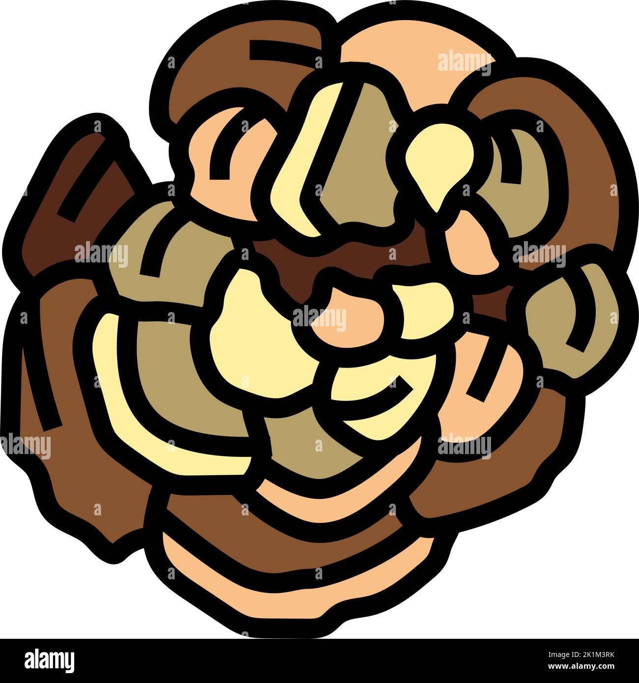 turkey tail mushroom color icon vector illustration Stock Vector Image ...