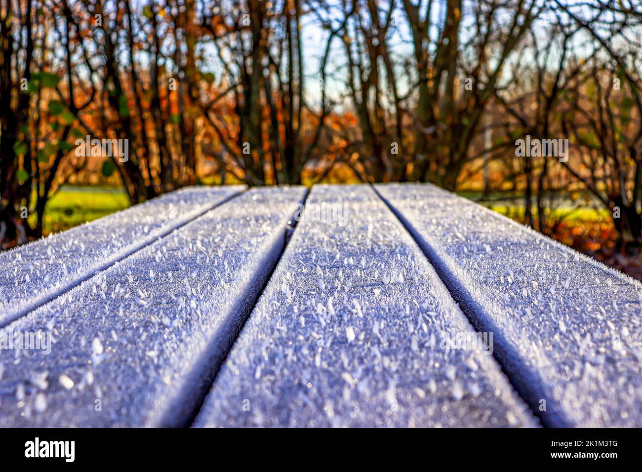 Beautiful nature winter background. Morning frost and ice crystals ...