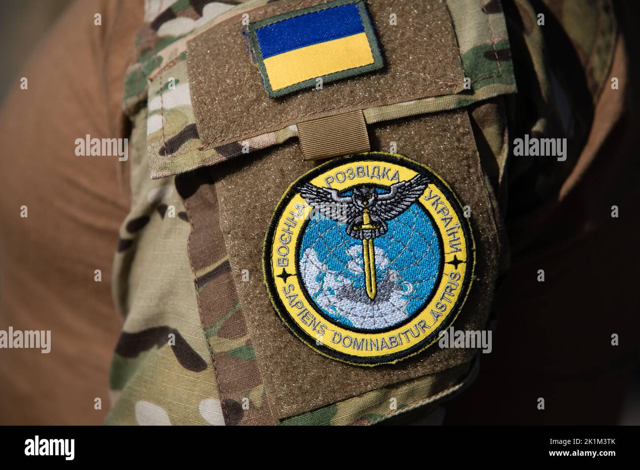 KYIV REG., UKRAINE - Sep. 16, 2022: A soldier with a chevron of the ...