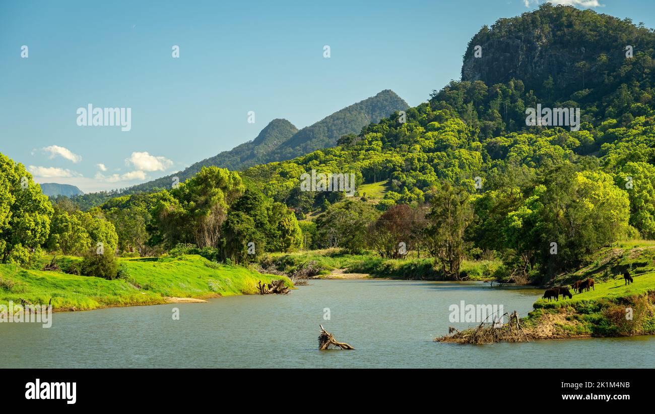 Picturesque view over the Tweed river in rural NSW, Australia Stock ...