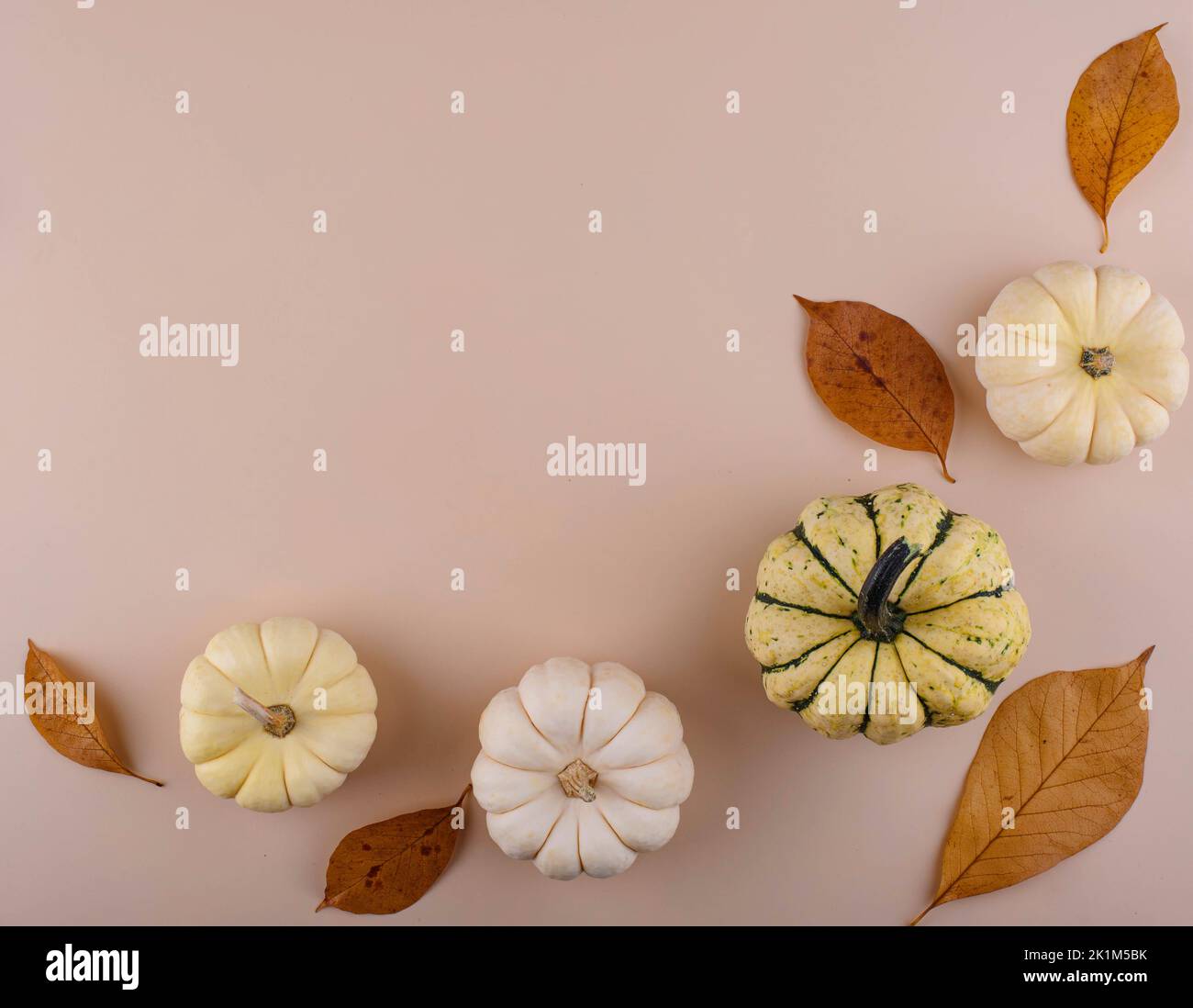 Autumn background with dry leaves Stock Photo - Alamy