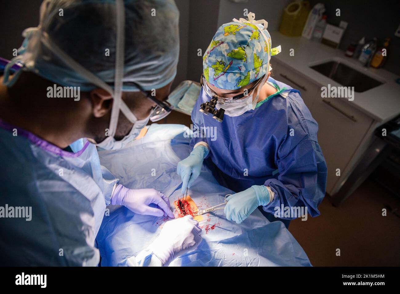 Abdominal blood hi-res stock photography and images - Alamy