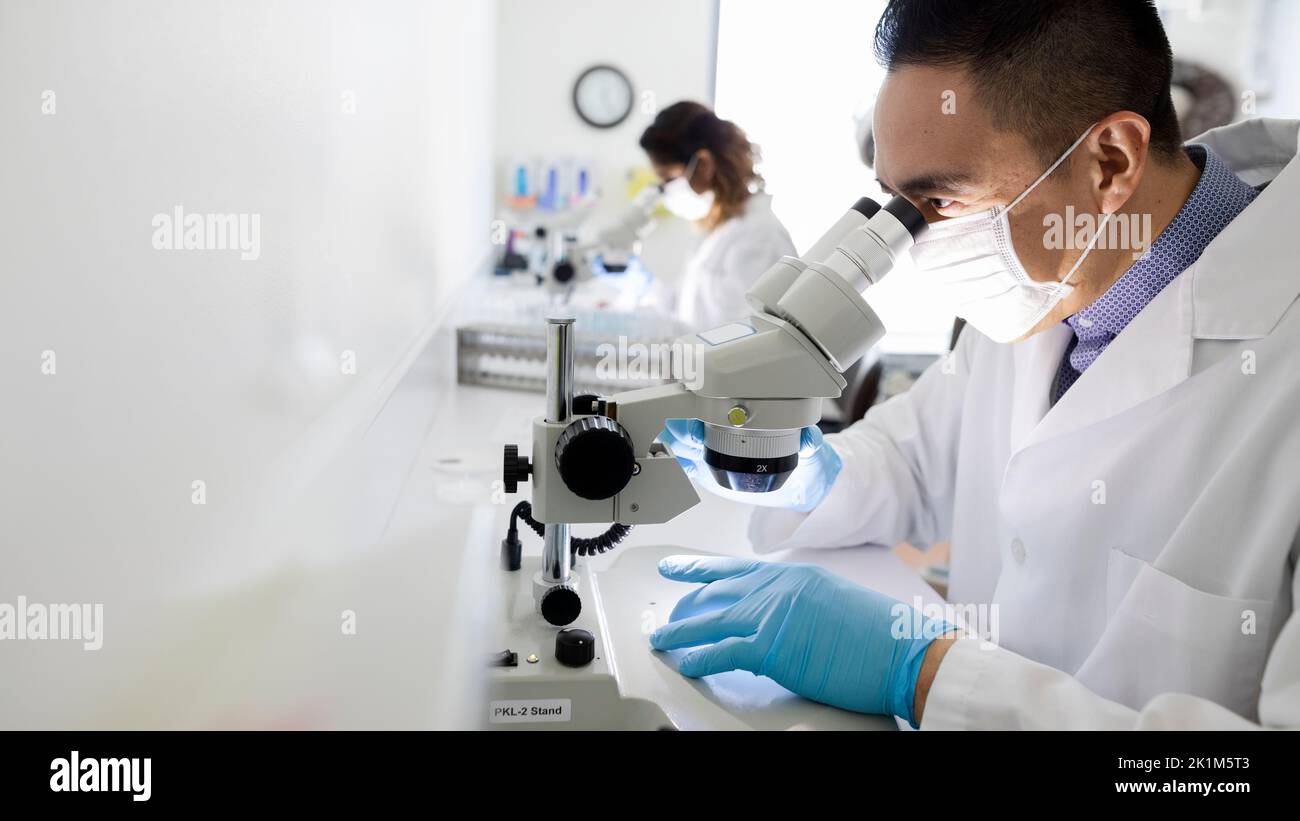 Microscope medical laboratory hi-res stock photography and images - Alamy