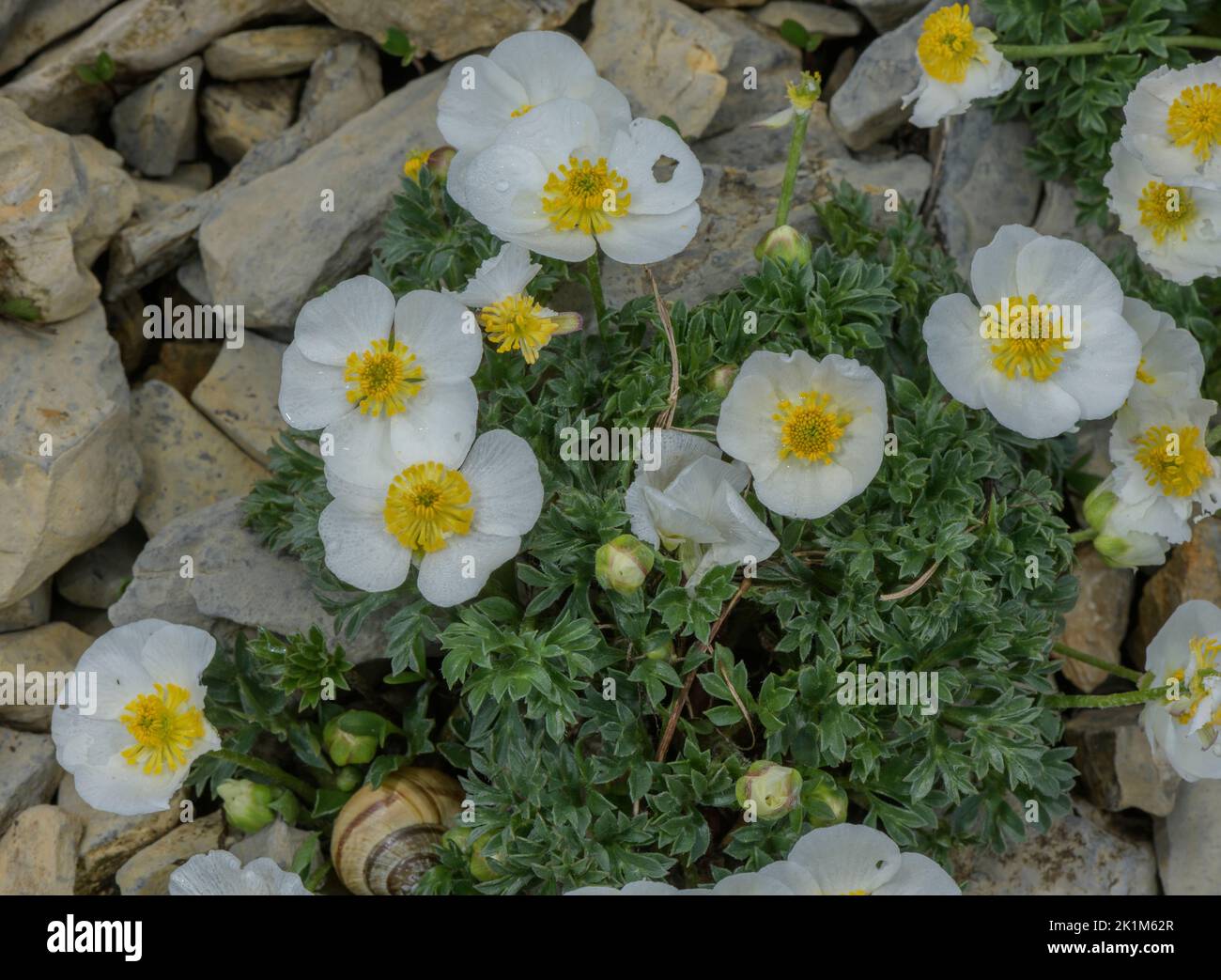 Seguiers hi-res stock photography and images - Alamy