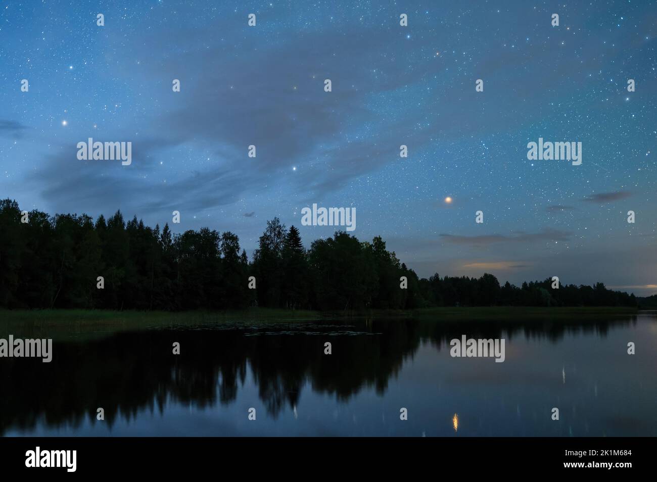 Night landscape under starry sky. Gemini and Orion constellations ...