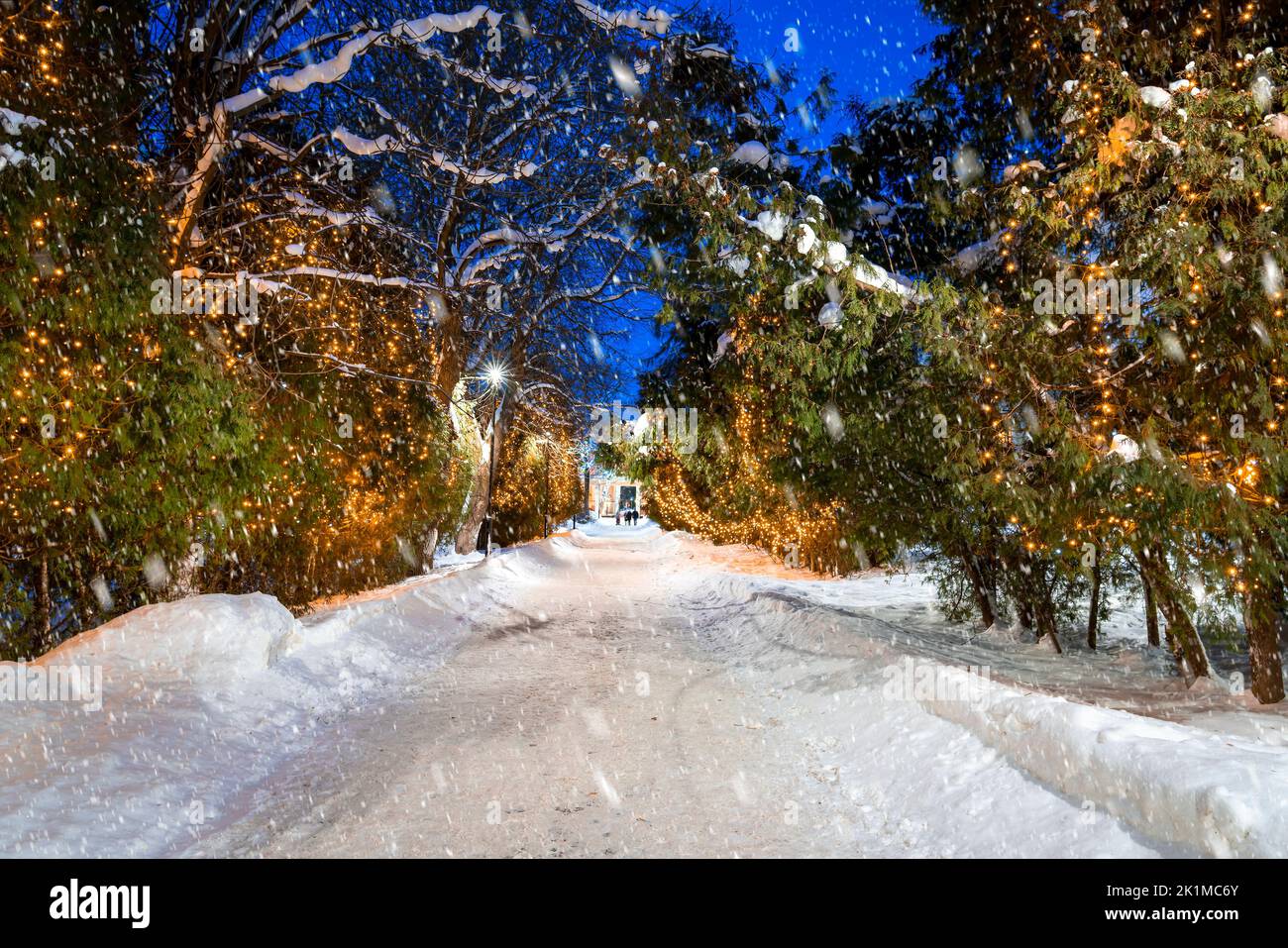 Snowfall in a winter park at night with christmas decorations, glowing ...