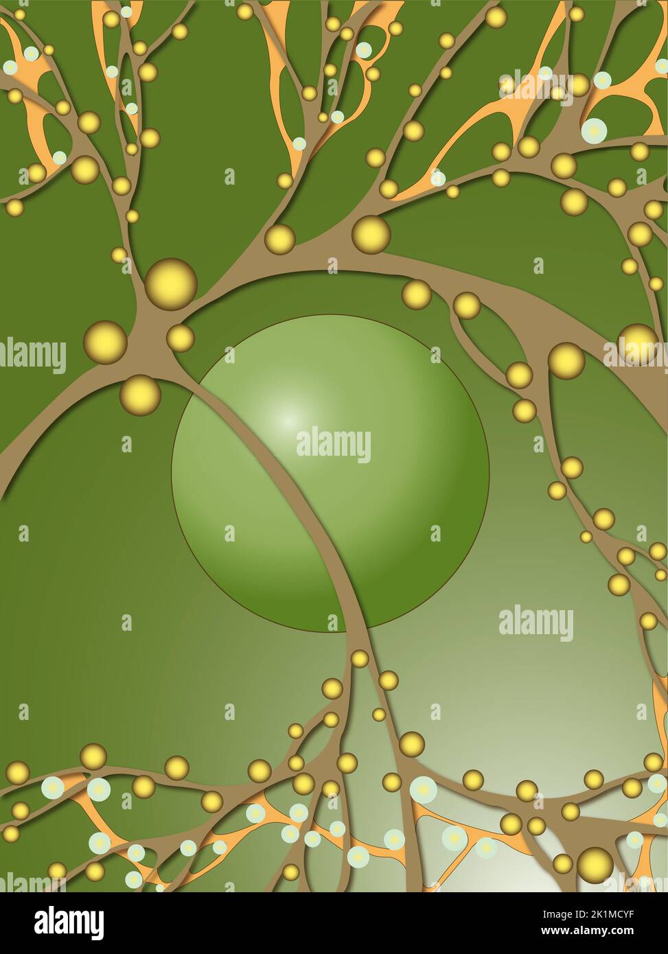 Olive shades hi-res stock photography and images - Alamy