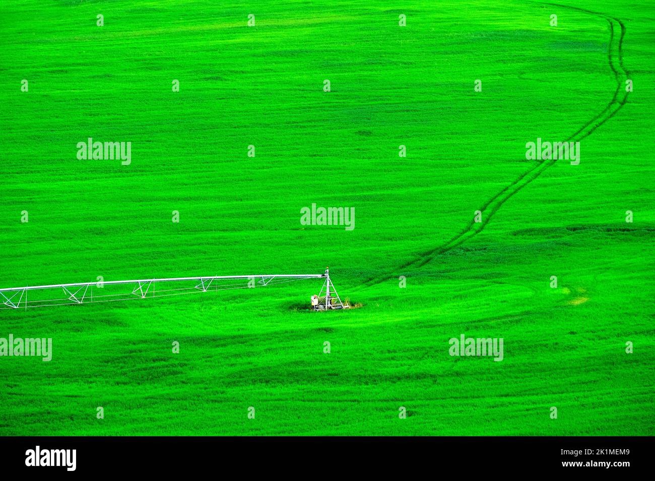 Irrigation pivot or circle watering irrigating green lush farm field ...