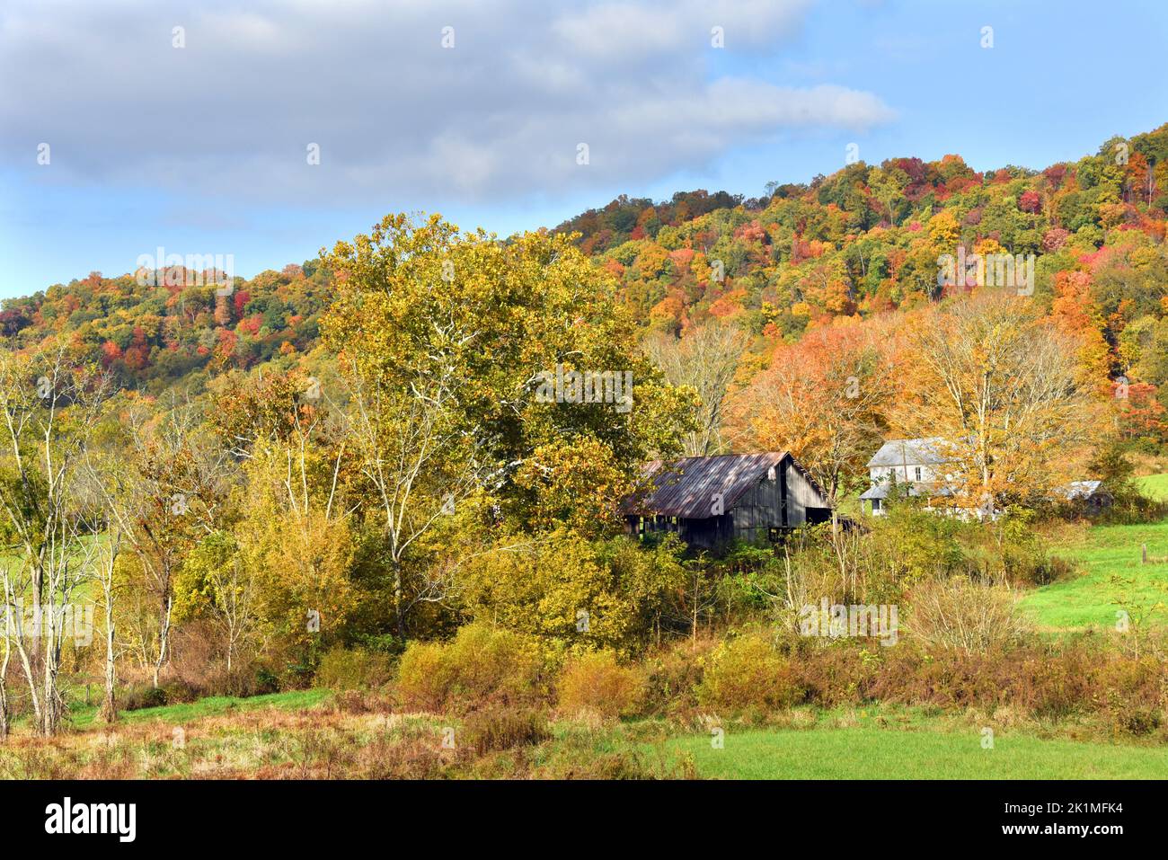 Appalachian Mountains turn with the Fall season. Rustic barn, with tin ...