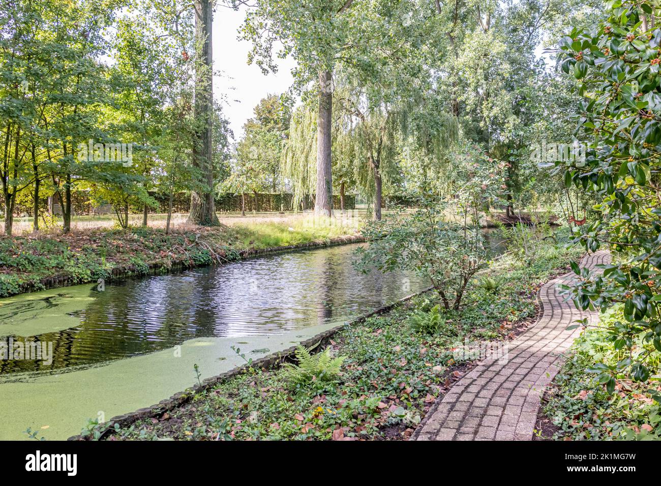 Canal between trees with green foliage and wild vegetation, narrow ...
