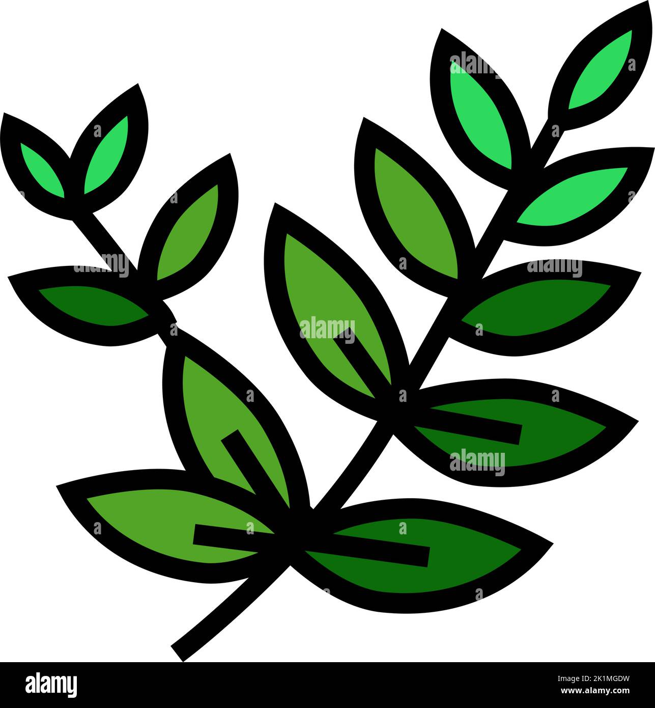 leaf spring color icon vector illustration Stock Vector Image & Art - Alamy