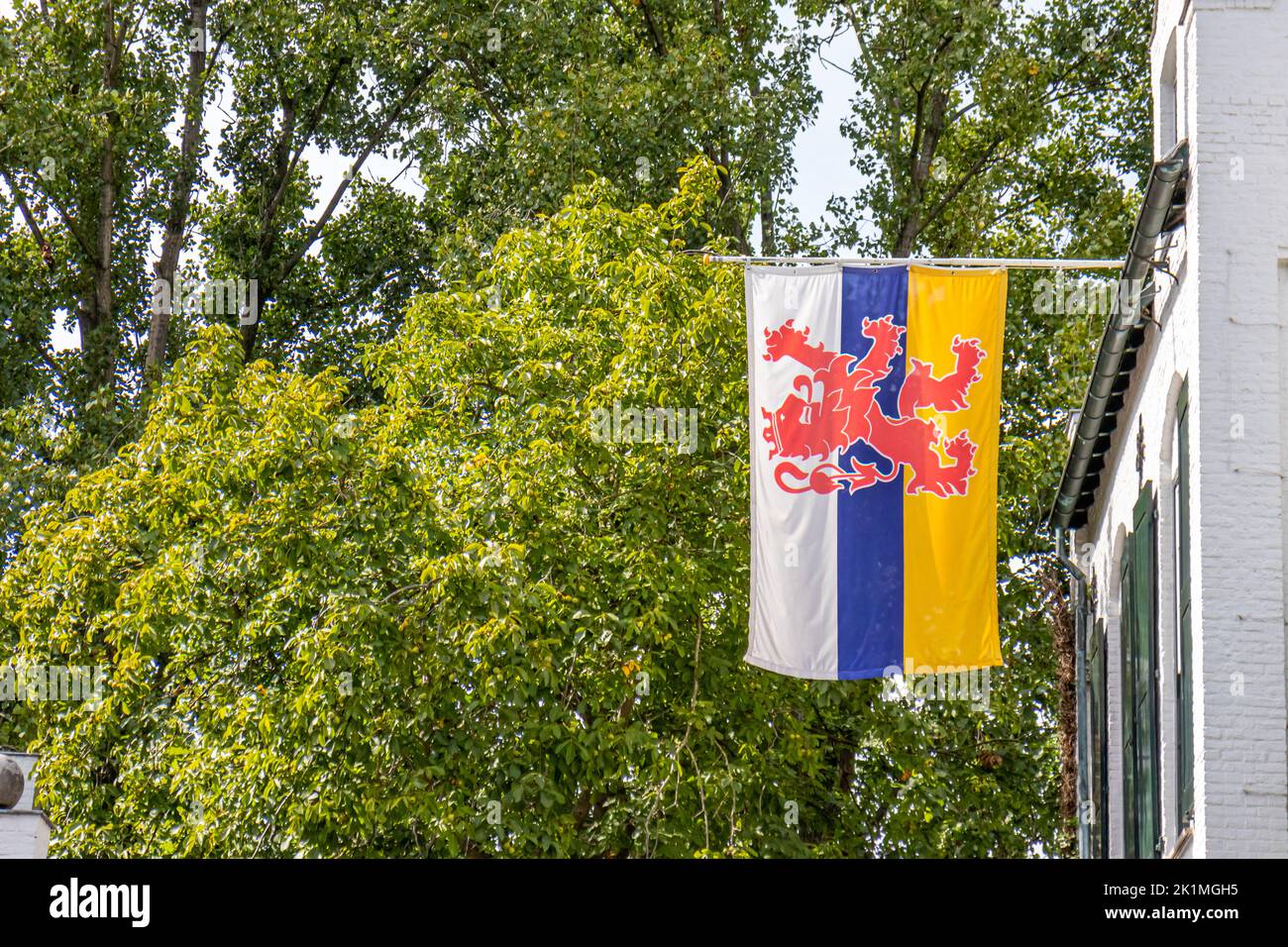 Flag of Dutch Limburg fluttering against lush green foliage, colors ...