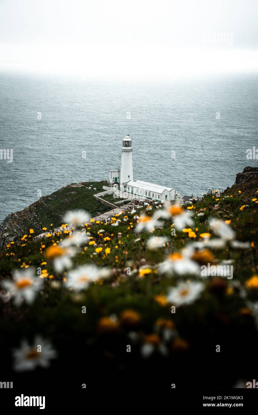Welsh gems hi-res stock photography and images - Alamy