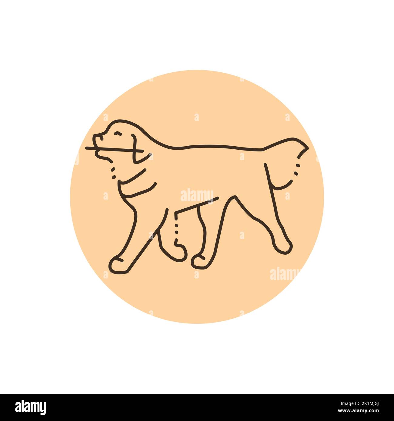 Golder retriever carries a stick color line icon. Pictogram for web ...