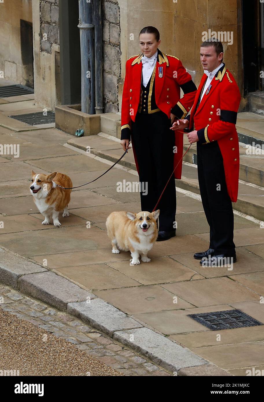 The Queen's two corgis, Muick and Sandy, are seen during the Ceremonial ...