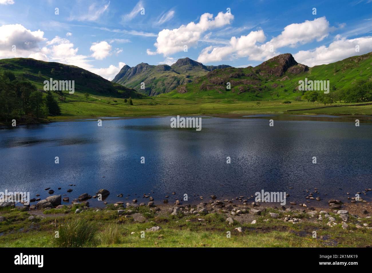Blea Tarn with the Langdale Pikes in the distance, Lake District ...