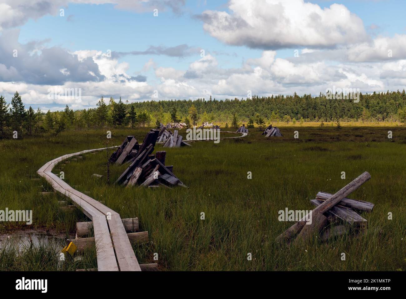 Duckboard trail leading through swamp in Torronsuo National Park ...