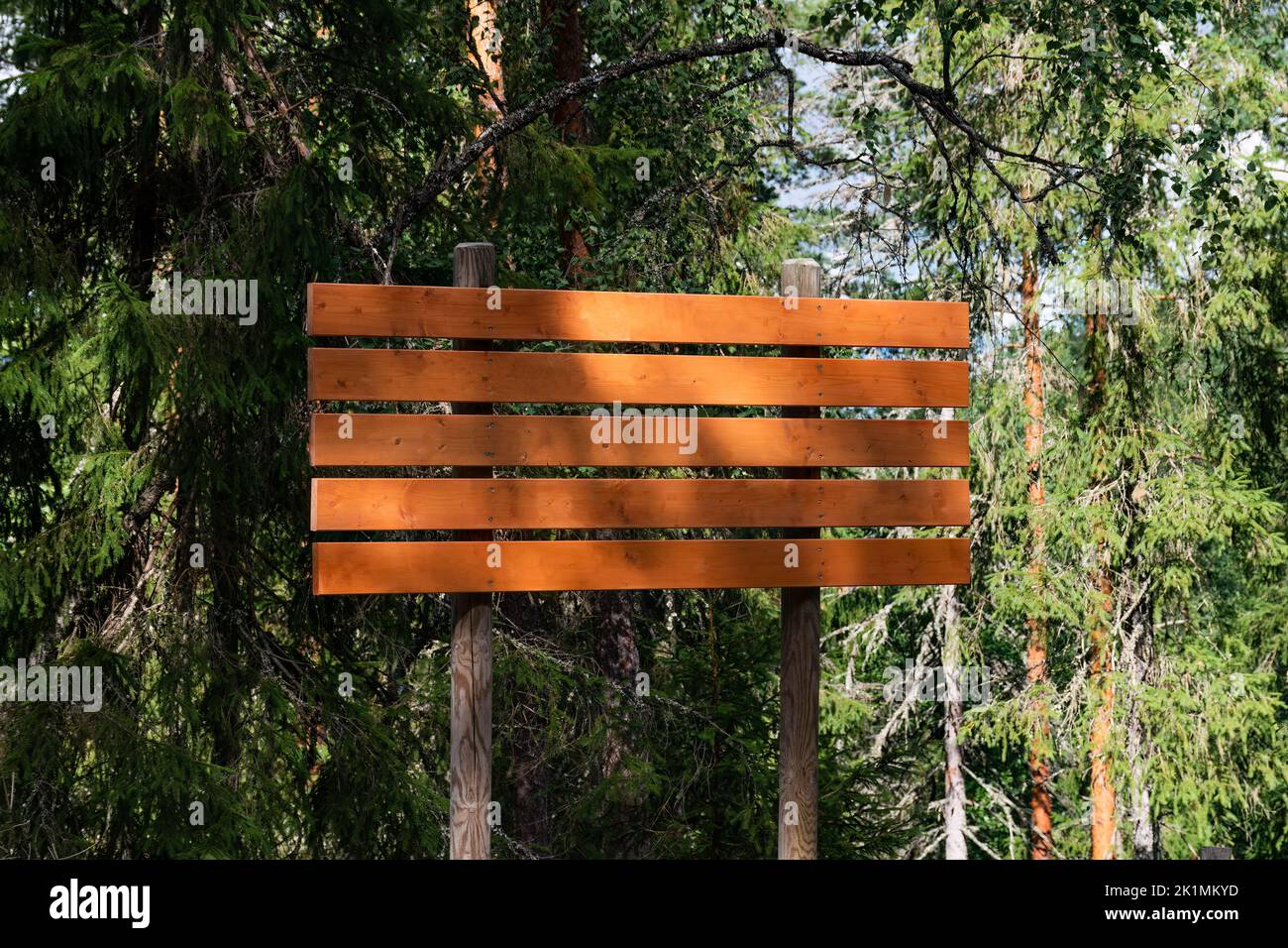 Empty wooden signpost with 5 boards in a pine forest Stock Photo - Alamy