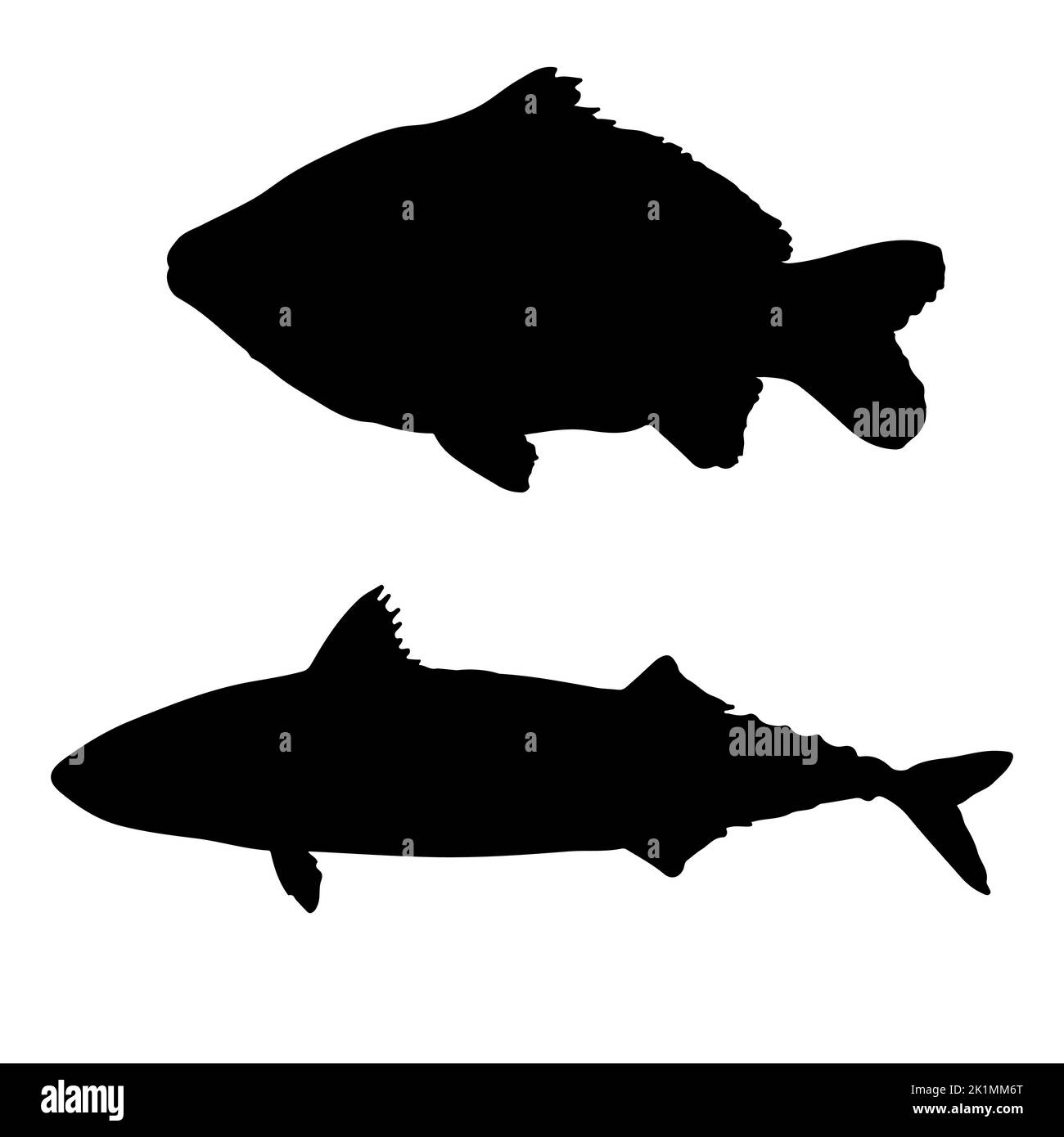 Mackerel fish and carp black silhouette Stock Vector Image & Art - Alamy