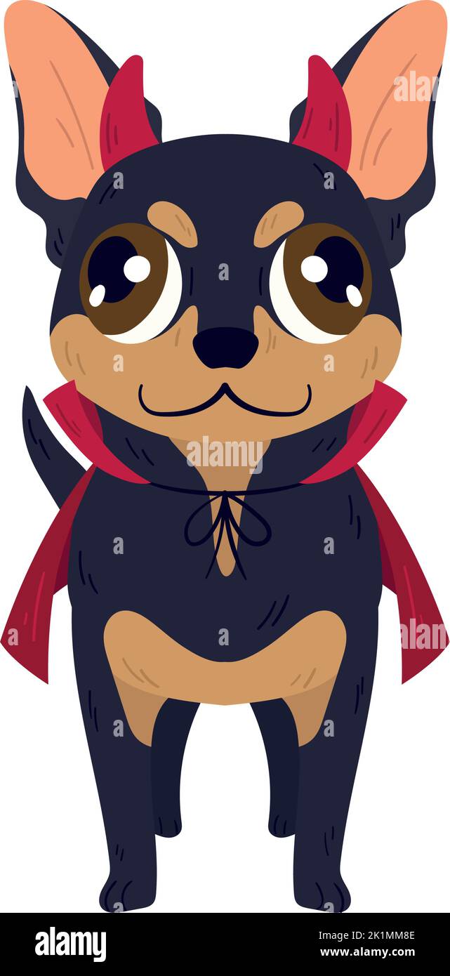 Isolated cute chihuahua dog with a halloween demon costume Vector Stock ...