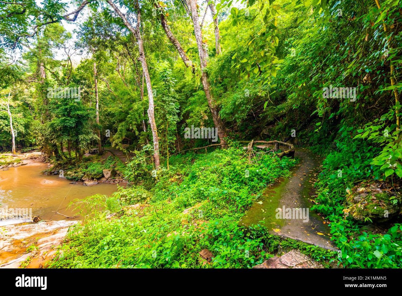 Tourist path in the jungle near Mae Sa river and waterfall, Thailand ...