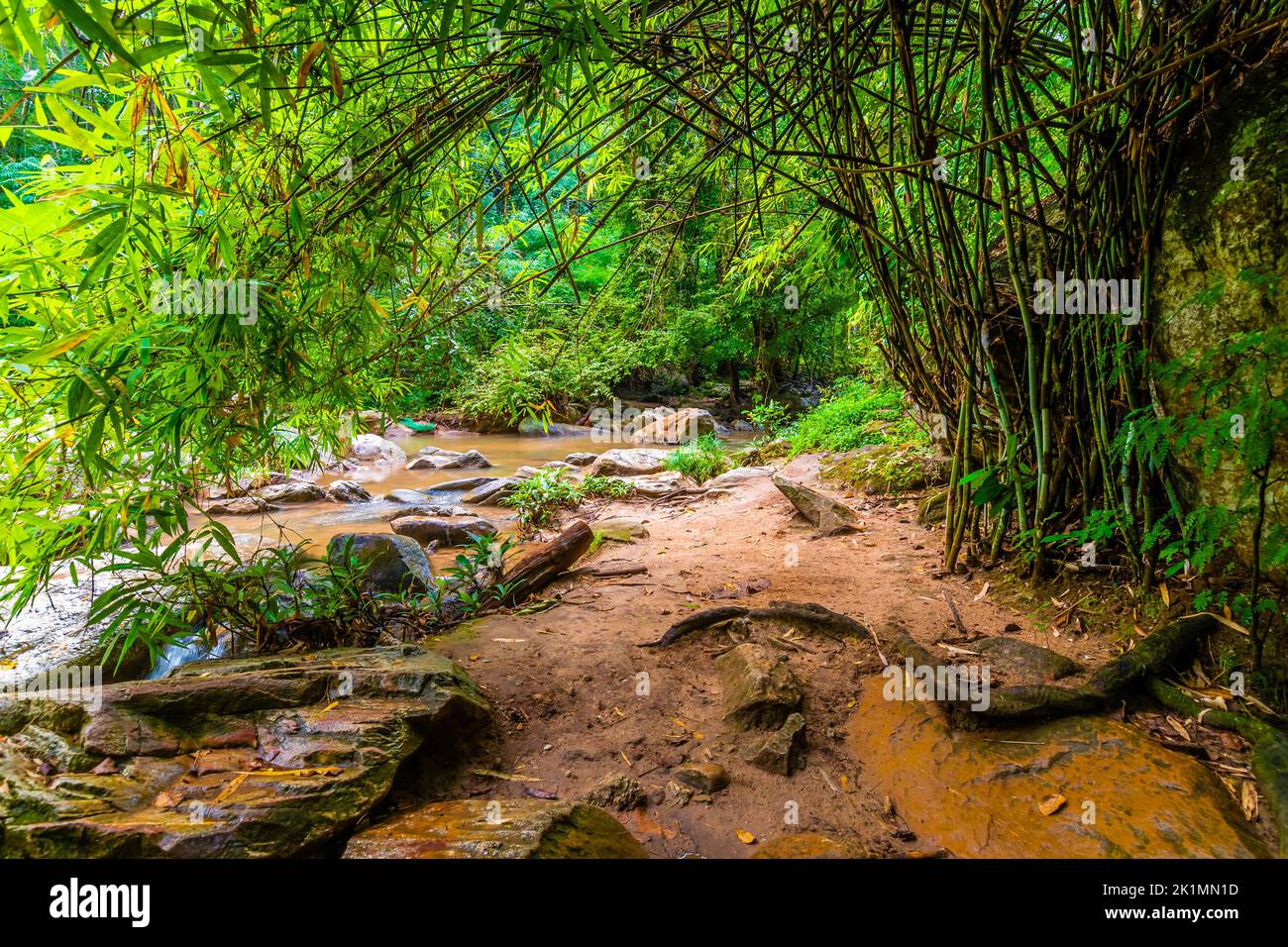 Tourist path in the jungle near Mae Sa river and waterfall, Thailand ...