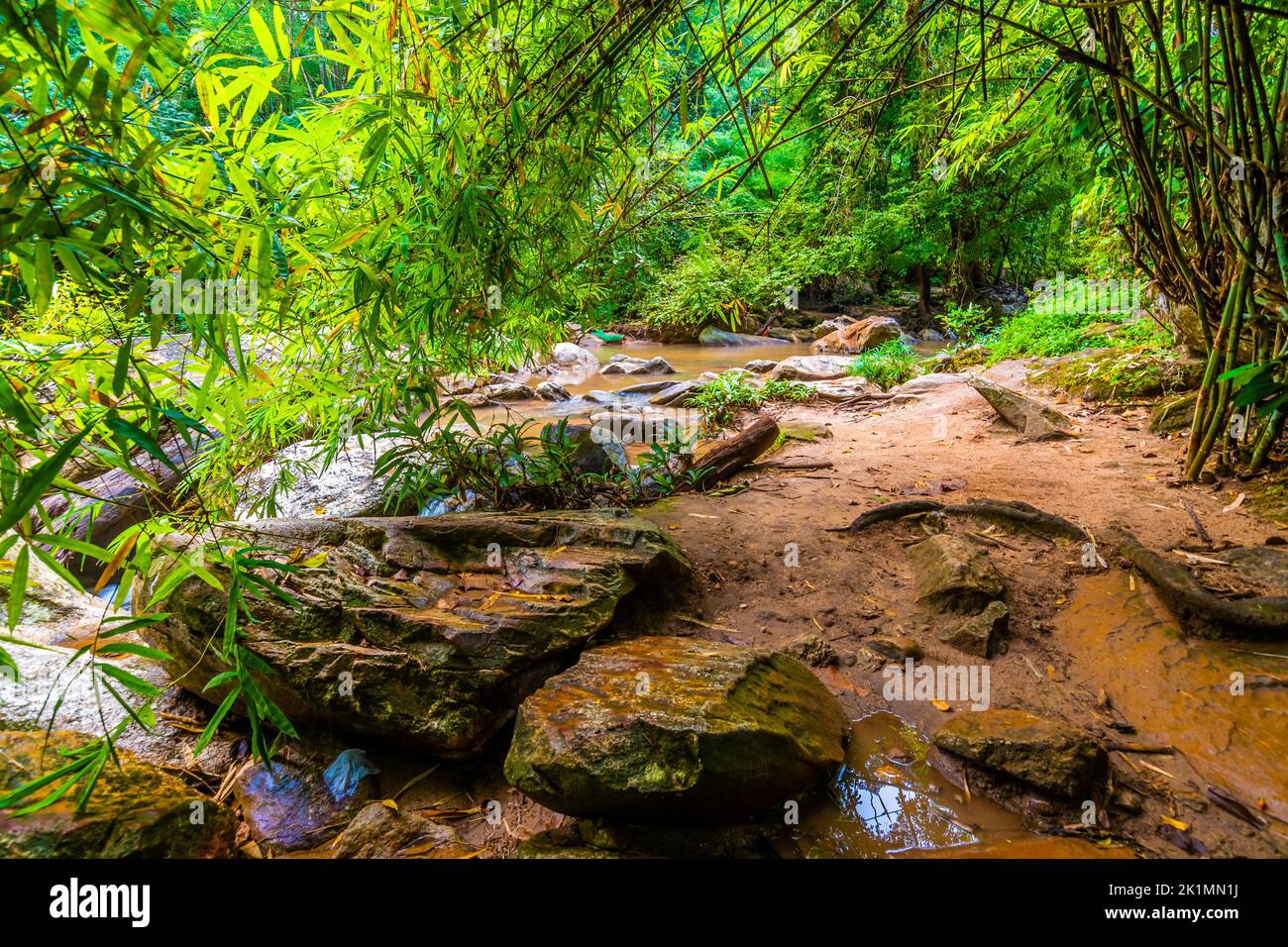 Tourist path in the jungle near Mae Sa river and waterfall, Thailand ...