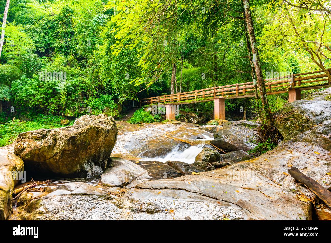 Tourist path in the jungle near Mae Sa river and waterfall, Thailand ...