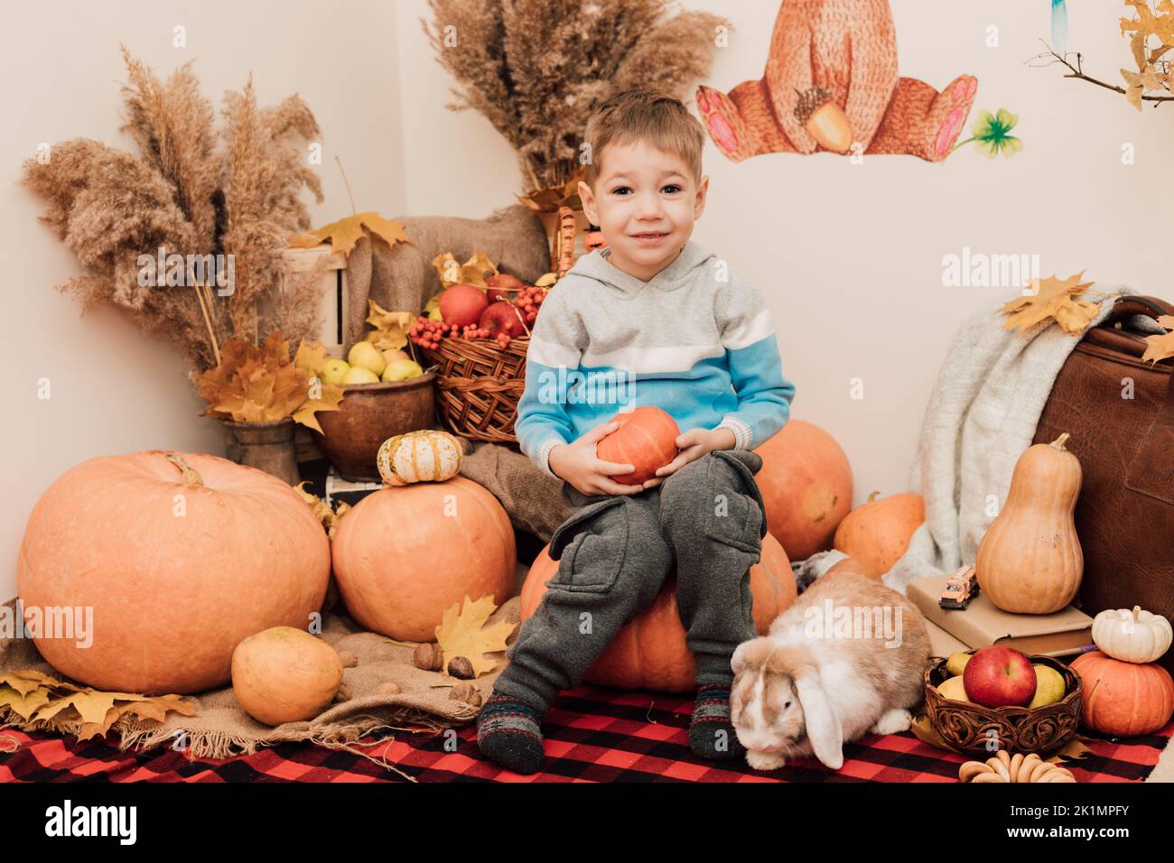 Boy sitting with pet rabbit hi-res stock photography and images - Alamy